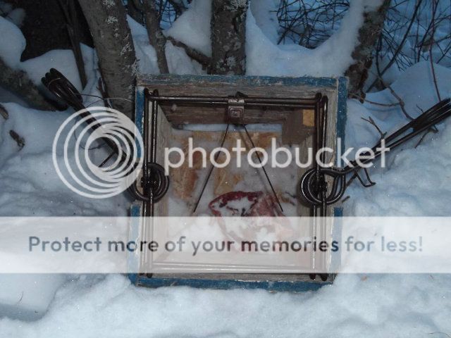 Canadian Trappers Talk Forum • View topic - Lynxtrapper243 trapping ...