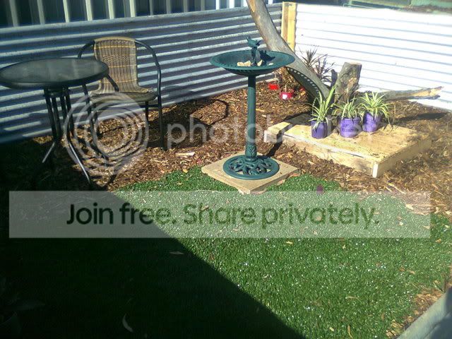 Look what i made!!!!!! outdoor enclosure! | Aussie Pythons & Snakes Forum